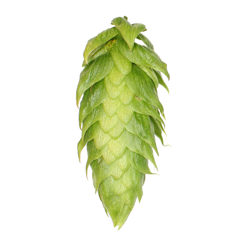 Hops Archives | Sandy Ridge Farms
